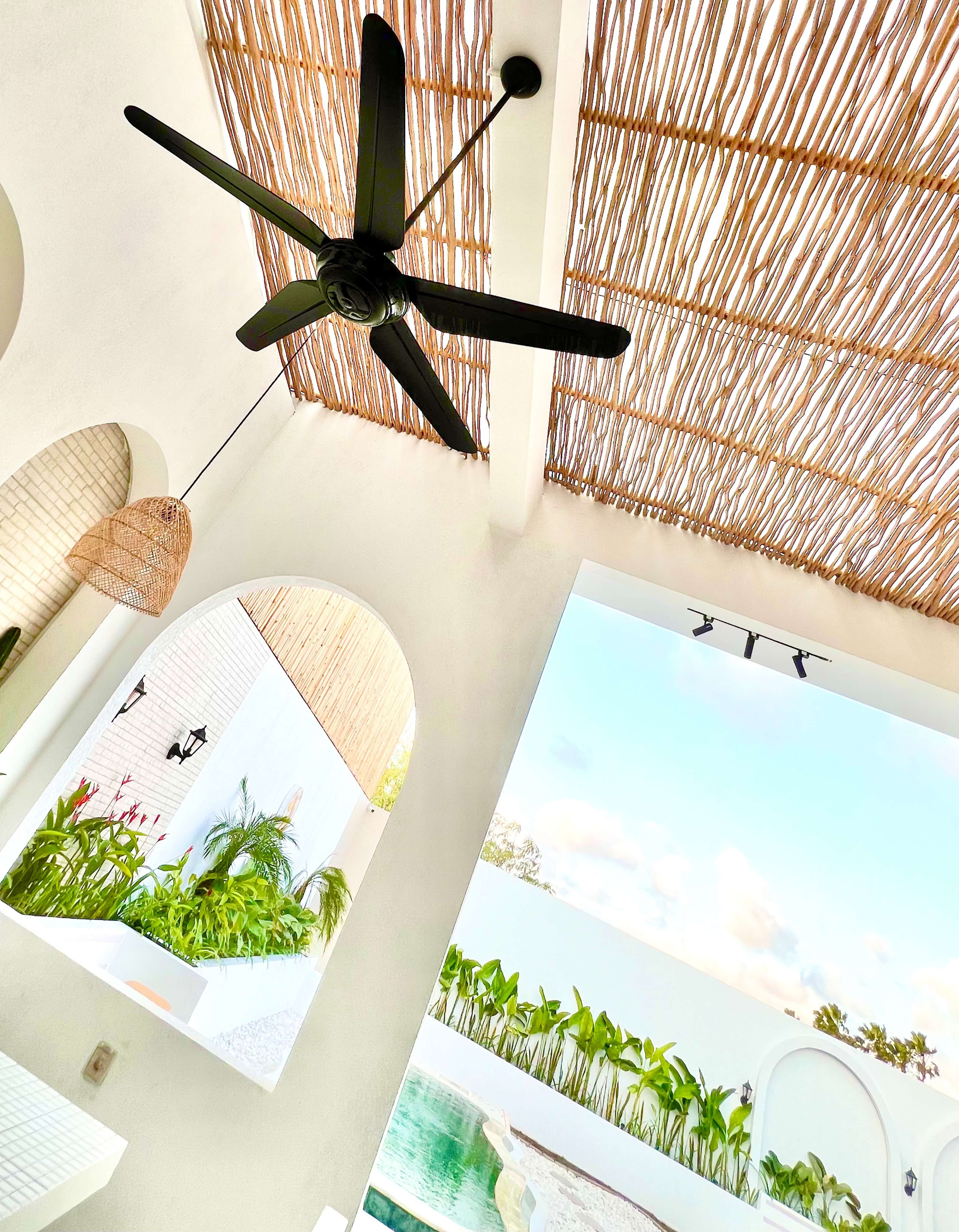 Food Beverage – Bali Pet Nirvana